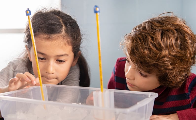 PhD Science Program Components