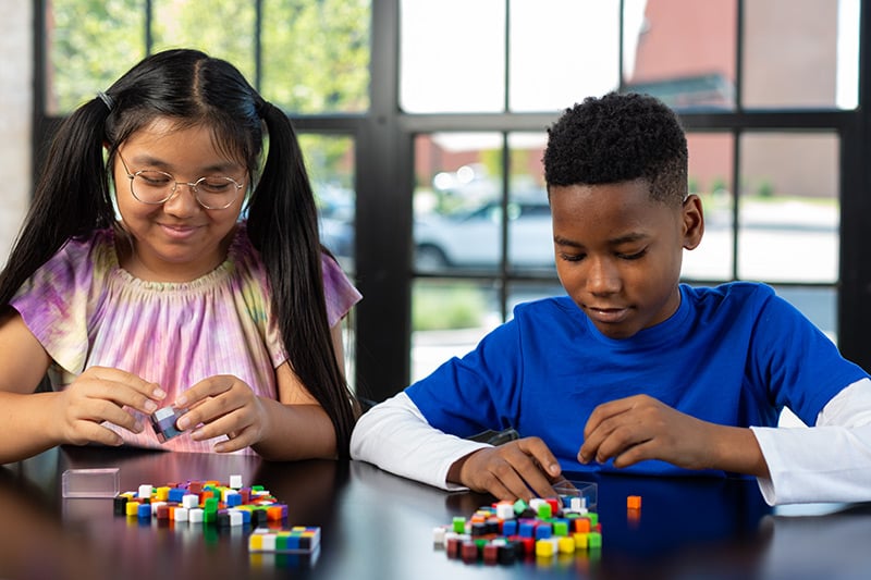 Building Enduring Knowledge, Not Just Skills