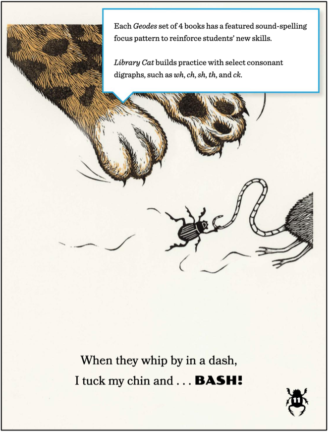 Leveled, Decodable, Readable: What Does Research Say About The Right ...