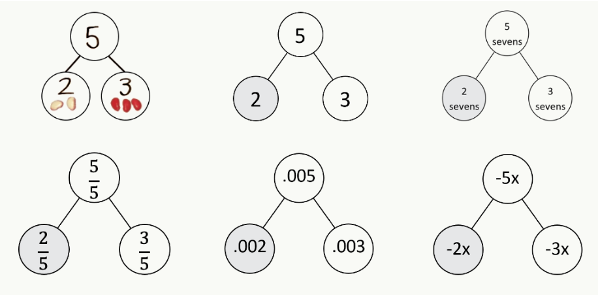 What Is A Knowledge-Building Curriculum?