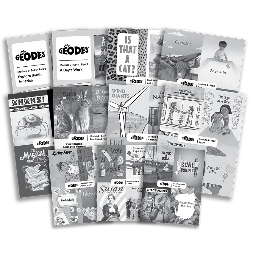 Geodes® — Bring the Wonder Home with My Geodes